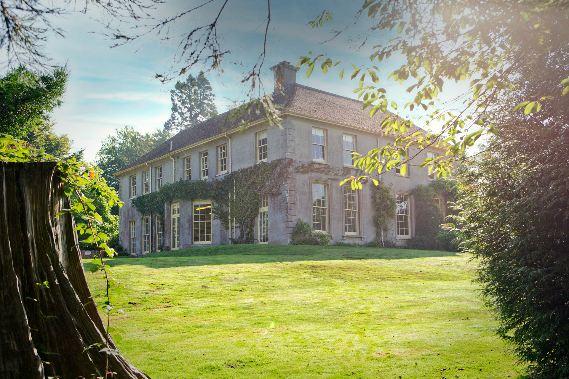 Welcome to Castle Court School